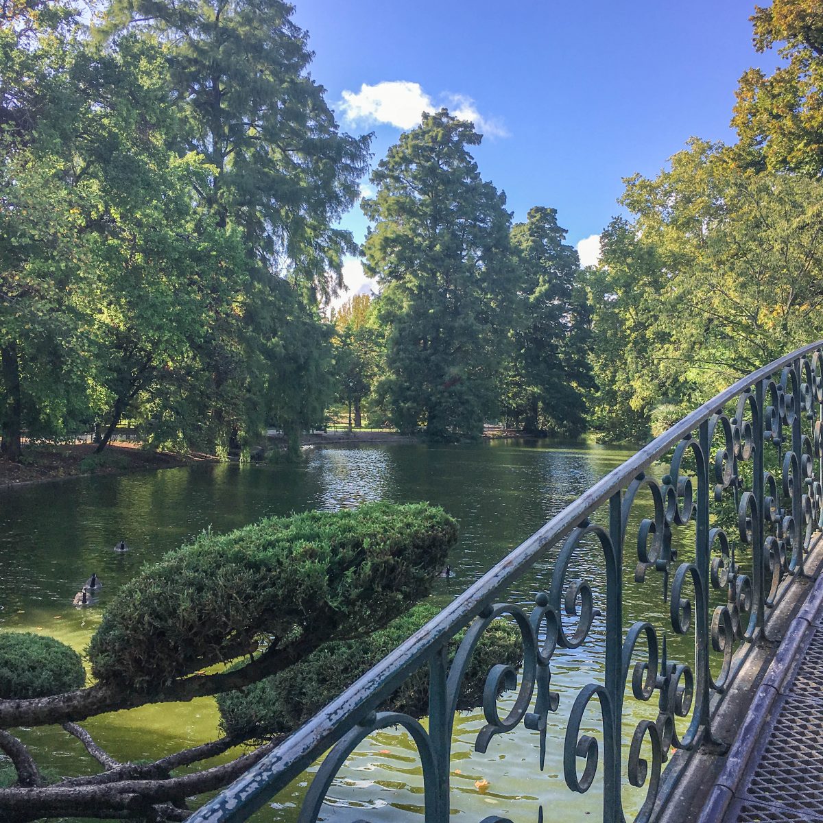 Bordeaux : les incontournables pour un séjour au vert | World Me Now